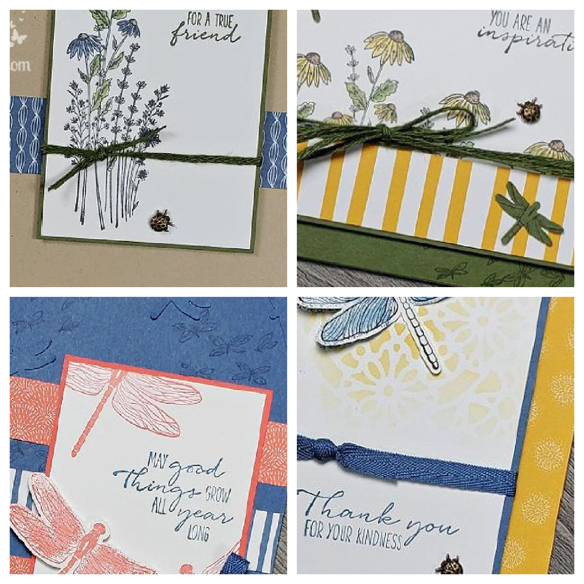 Dragonfly Garden Class Pdf Only Barb Stamps